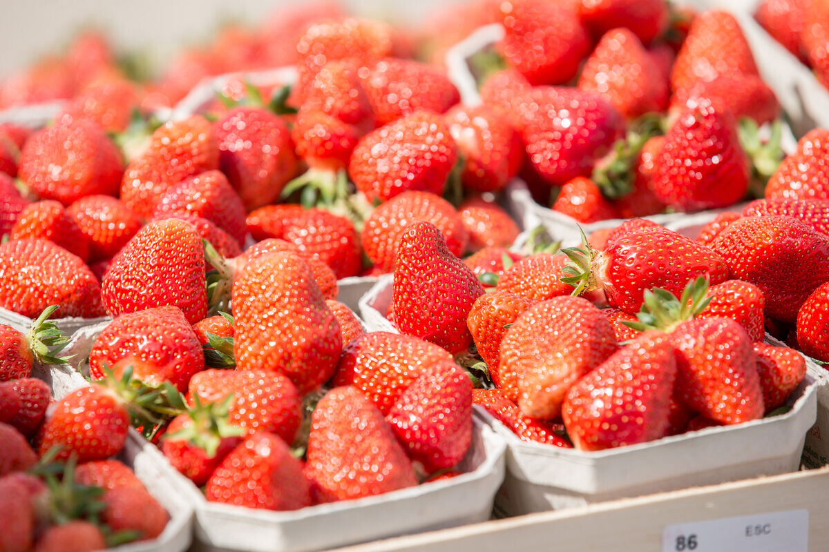 Rote Früchte versüßen den Frühling - Obst & Garten