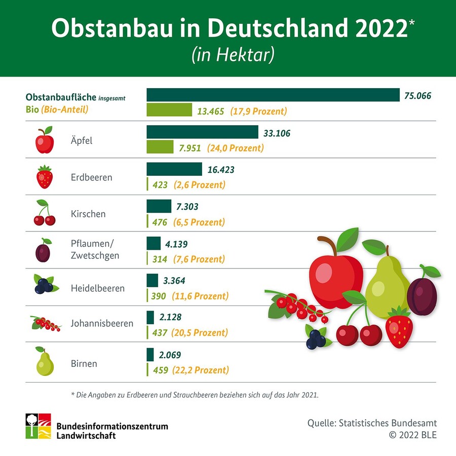 Obstanbau in Deutschland - Obst & Garten